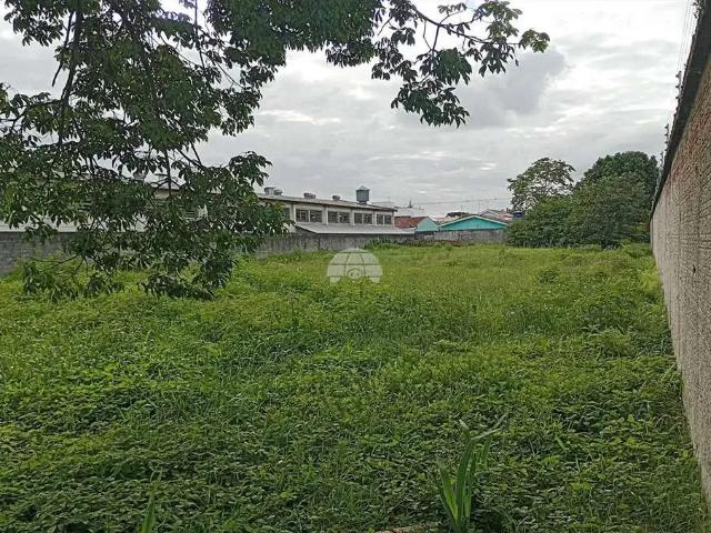 Terreno / Lote para Venda em Pinhais/PR Weissópolis