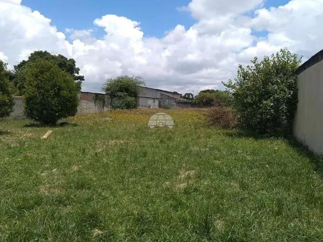 Terreno / Lote para Venda em Pinhais/PR Weissópolis