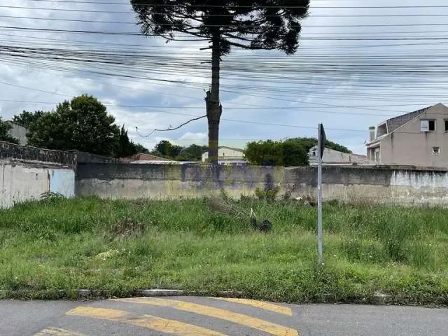 Terreno / Lote para Venda em Pinhais/PR Weissópolis