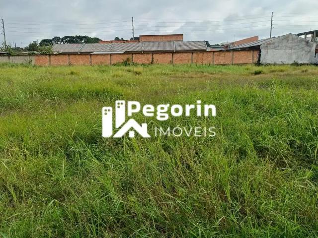 Terreno / Lote para Venda em Pinhais/PR Vargem Grande