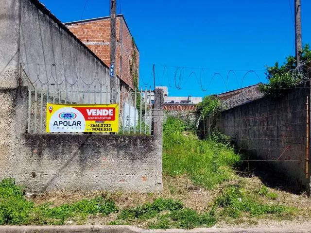 Terreno / Lote para Venda em Pinhais/PR Vargem Grande
