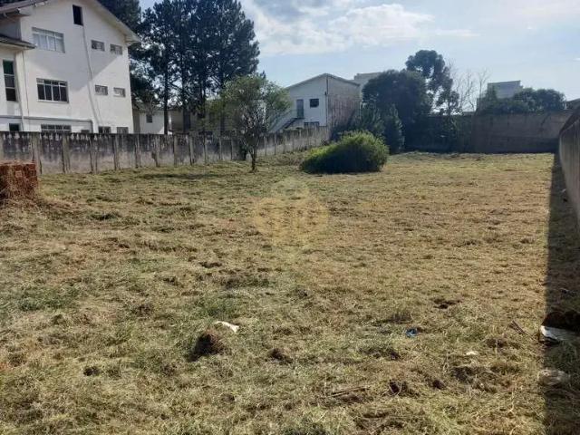 Terreno / Lote para Venda em Pinhais/PR Vargem Grande