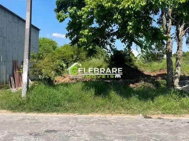 Terreno / Lote para Venda em Pinhais/PR Vargem Grande