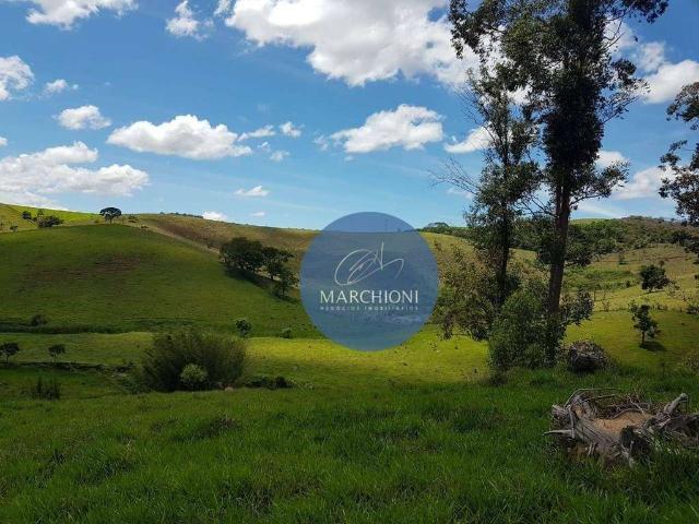 Terreno / Lote para Venda em Pinhalzinho/SP Zona Rural