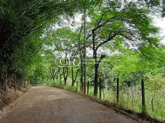 Terreno / Lote para Venda em Pinheiral/RJ Zona Rural