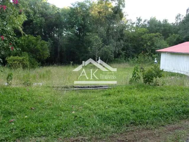 Terreno / Lote para Venda em Picada Café/RS Morro Bock