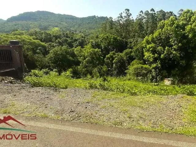 Terreno / Lote para Venda em Picada Café/RS Centro