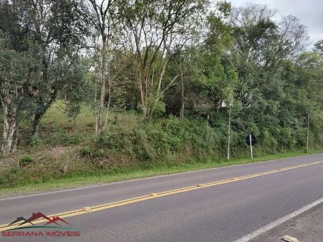 Terreno / Lote para Venda em Picada Café/RS Centro