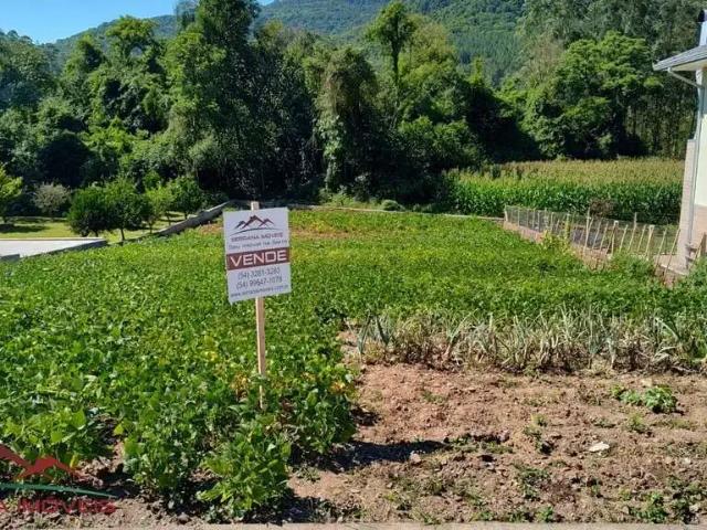 Terreno / Lote para Venda em Picada Café/RS Centro