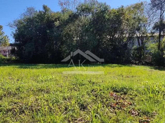 Terreno / Lote para Venda em Picada Café/RS Centro