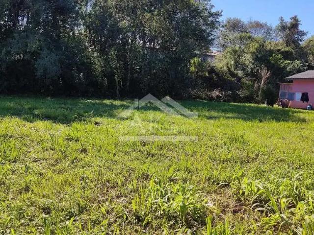 Terreno / Lote para Venda em Picada Café/RS Centro
