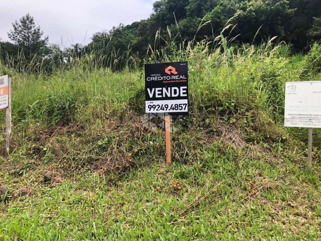 Terreno / Lote para Venda em Picada Café/RS Centro