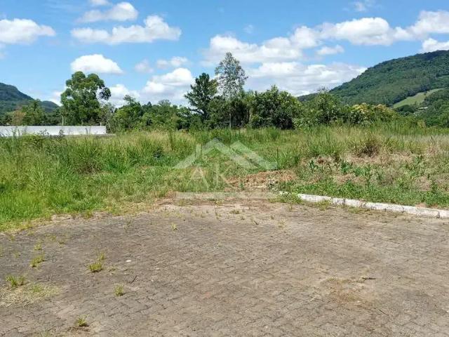 Terreno / Lote para Venda em Picada Café/RS Centro
