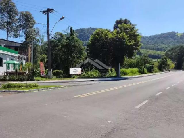 Terreno / Lote para Venda em Picada Café/RS Centro