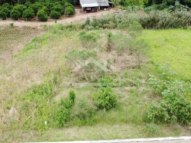 Terreno / Lote para Venda em Picada Café/RS Joaneta