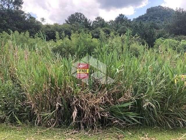 Terreno / Lote para Venda em Picada Café/RS Kaffe eck