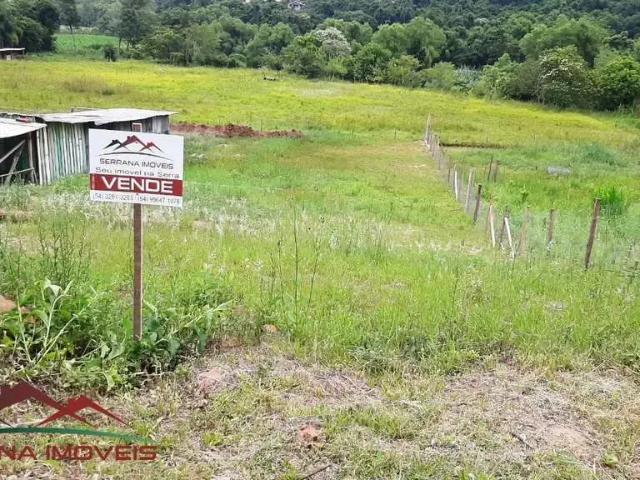 Terreno / Lote para Venda em Picada Café/RS Lichtenthal