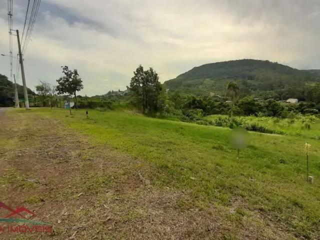 Terreno / Lote para Venda em Picada Café/RS Lichtenthal