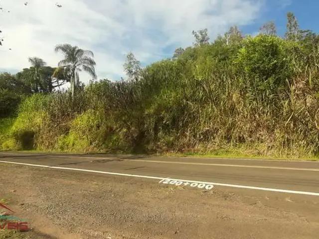 Terreno / Lote para Venda em Picada Café/RS Picada Holanda