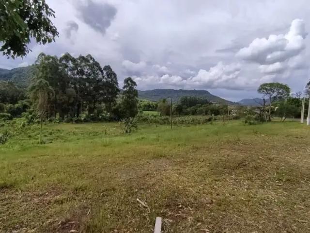 Terreno / Lote para Venda em Picada Café/RS Picada Holanda