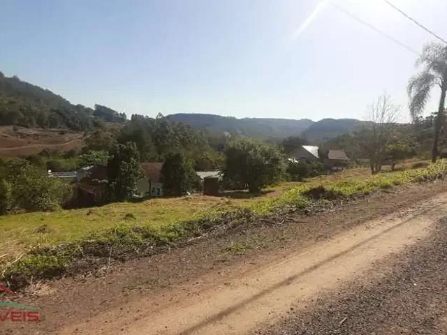 Terreno / Lote para Venda em Picada Café/RS Picada Holanda
