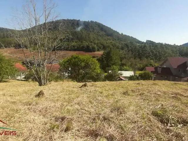 Terreno / Lote para Venda em Picada Café/RS Picada Holanda