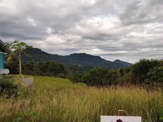Terreno / Lote para Venda em Picada Café/RS Zona Rural