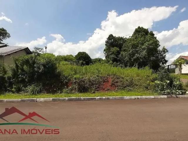 Terreno / Lote para Venda em Picada Café/RS Zona Rural
