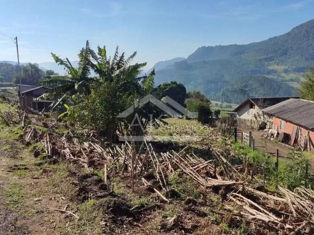 Terreno / Lote para Venda em Picada Café/RS Zona Rural