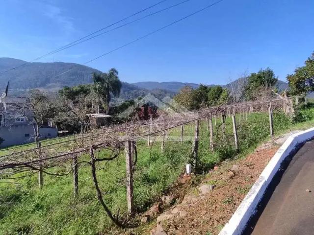 Terreno / Lote para Venda em Picada Café/RS Zona Rural