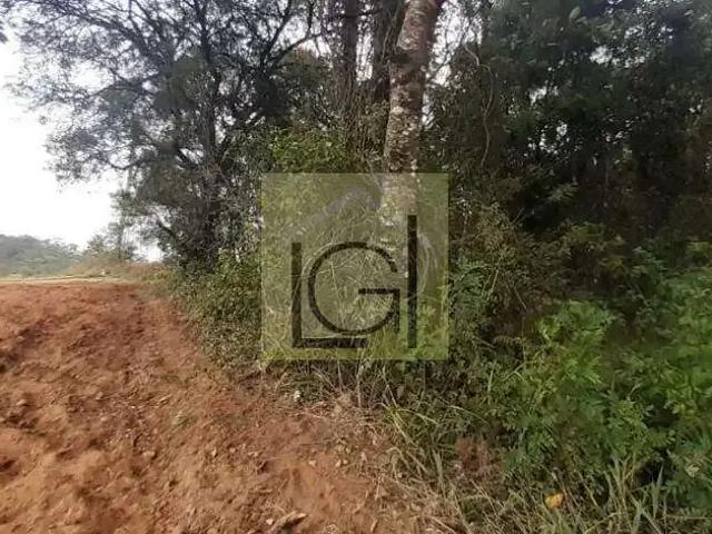 Terreno / Lote para Venda em Piedade/SP Centro