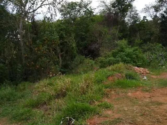 Terreno / Lote para Venda em Piedade/SP Jurupará