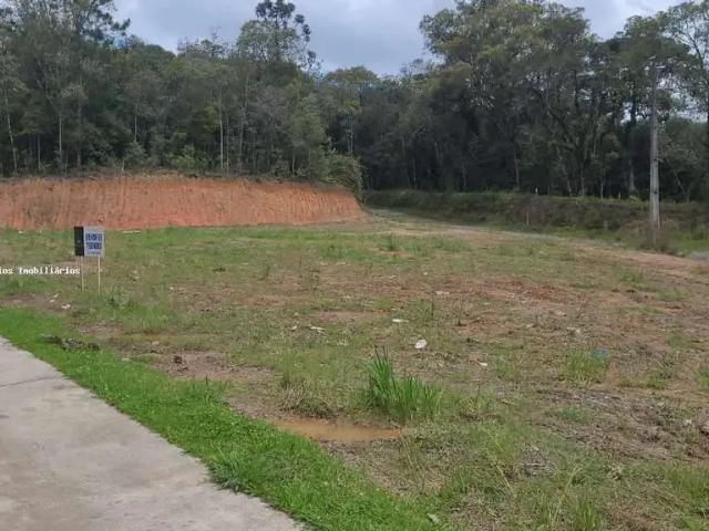 Terreno / Lote para Venda em Piên/PR Avencal