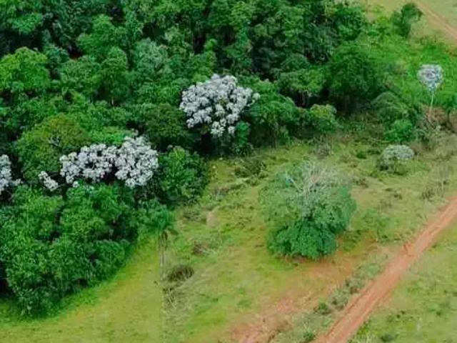 Terreno / Lote para Venda em Piracaia/SP Canedos