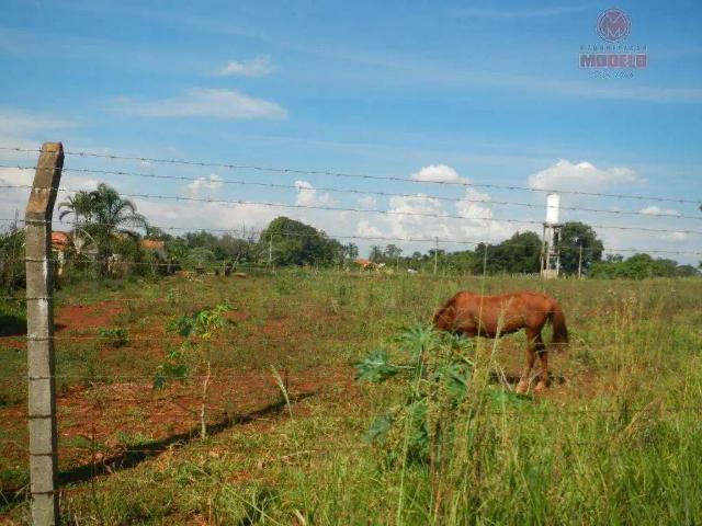 Terreno / Lote para Venda em Piracicaba/SP Conceição