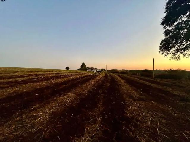 Terreno / Lote para Venda em Piracicaba/SP Conceição