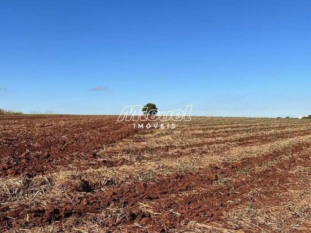Terreno / Lote para Venda em Piracicaba/SP Conceição