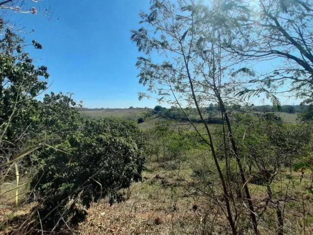Terreno / Lote para Venda em Piracicaba/SP Campestre