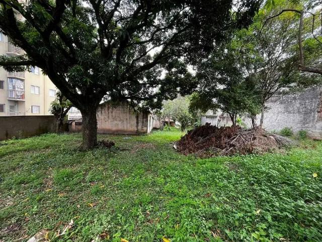 Terreno / Lote para Venda em Piracicaba/SP Cidade Alta