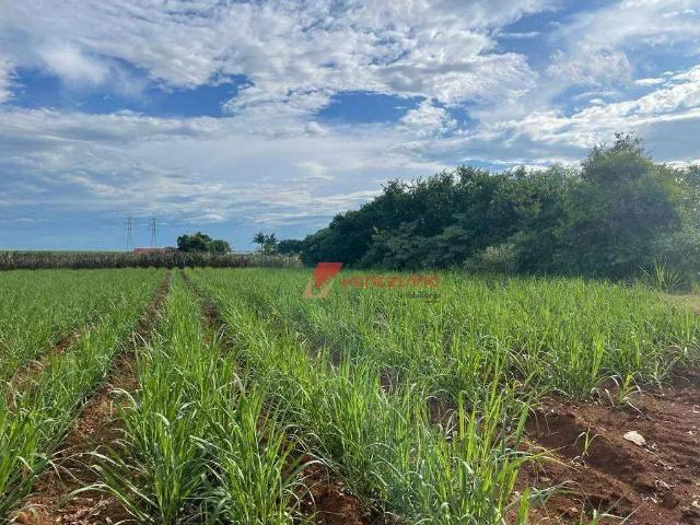 Terreno / Lote para Venda em Piracicaba/SP Água Santa