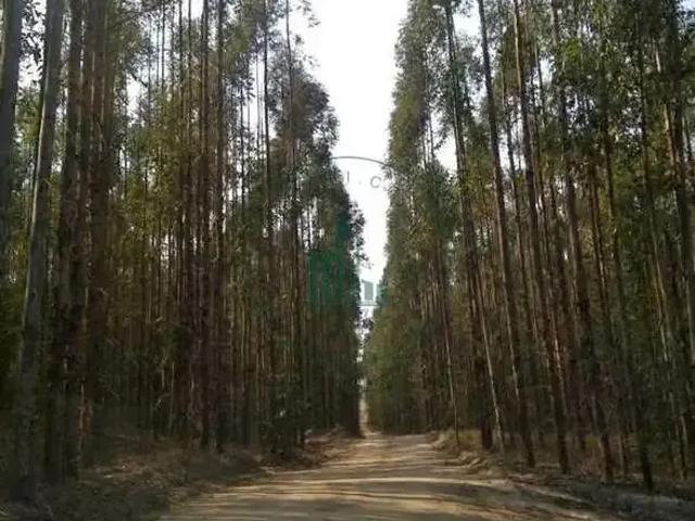 Terreno / Lote para Venda em Piracicaba/SP Artemis