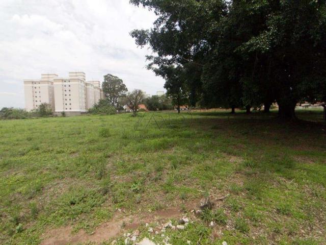 Terreno / Lote para Venda em Piracicaba/SP Dois Córregos