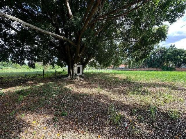 Terreno / Lote para Venda em Piracicaba/SP Jardim Nova Iguaçu