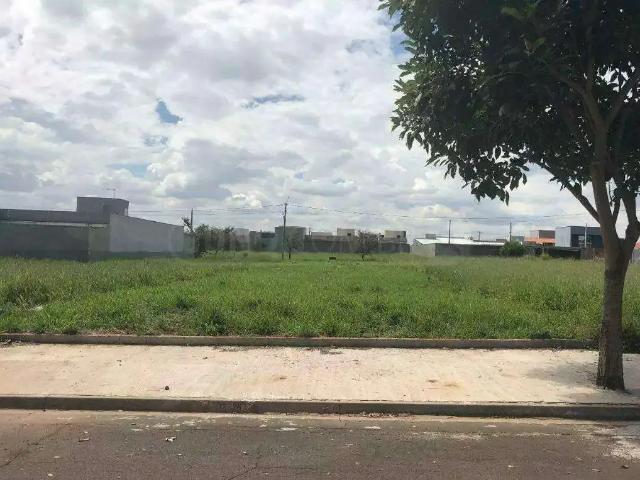 Terreno / Lote para Venda em Piracicaba/SP Jardim São Francisco