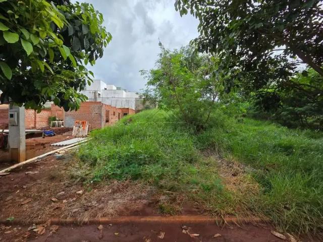 Terreno / Lote para Venda em Piracicaba/SP Jardim São Francisco