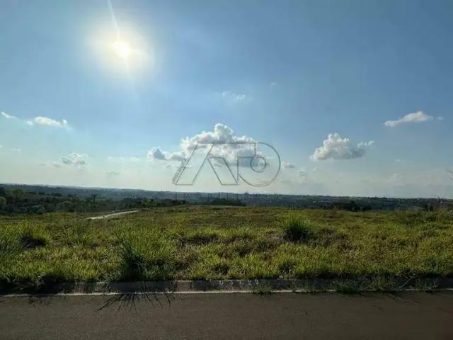 Terreno / Lote para Venda em Piracicaba/SP Jardim São Francisco