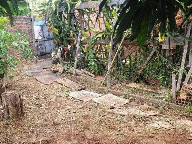 Terreno / Lote para Venda em Piracicaba/SP Nova Pompéia