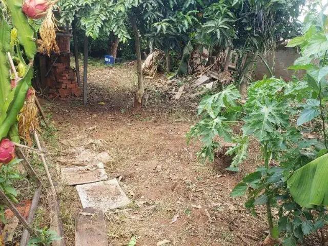 Terreno / Lote para Venda em Piracicaba/SP Nova Pompéia