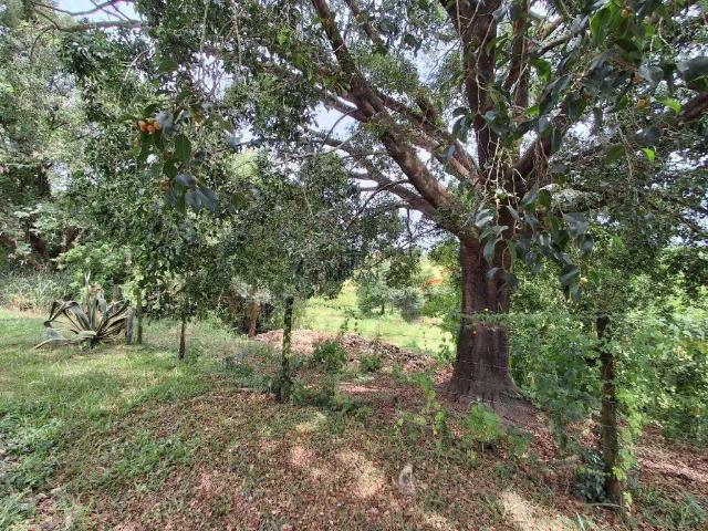 Terreno / Lote para Venda em Piracicaba/SP Nova Suiça