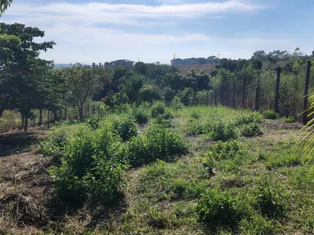 Terreno / Lote para Venda em Piracicaba/SP Santa Olímpia